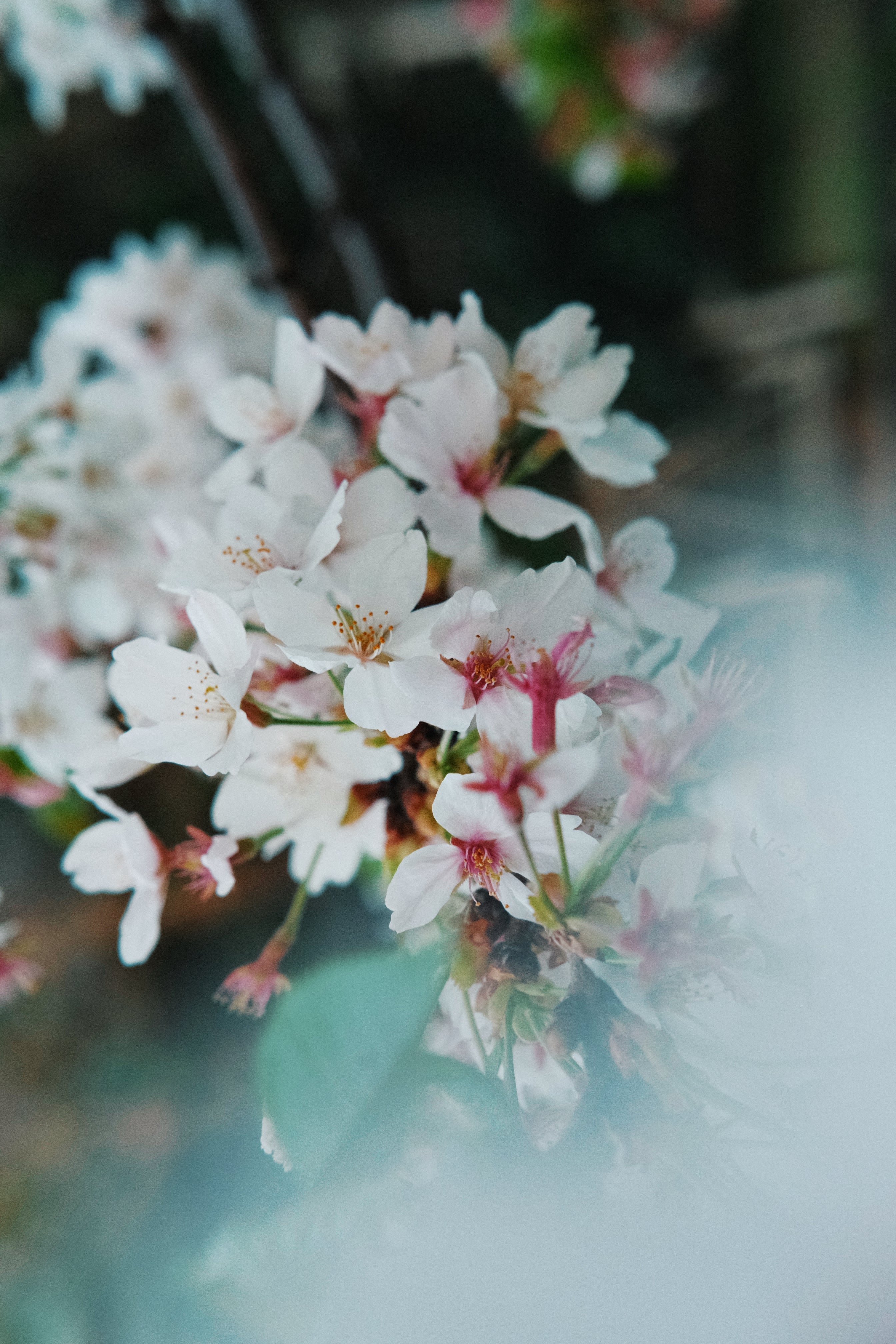 【無料アプリ】「VN Video Editor」でのLUTの取り込み方 – CURBON