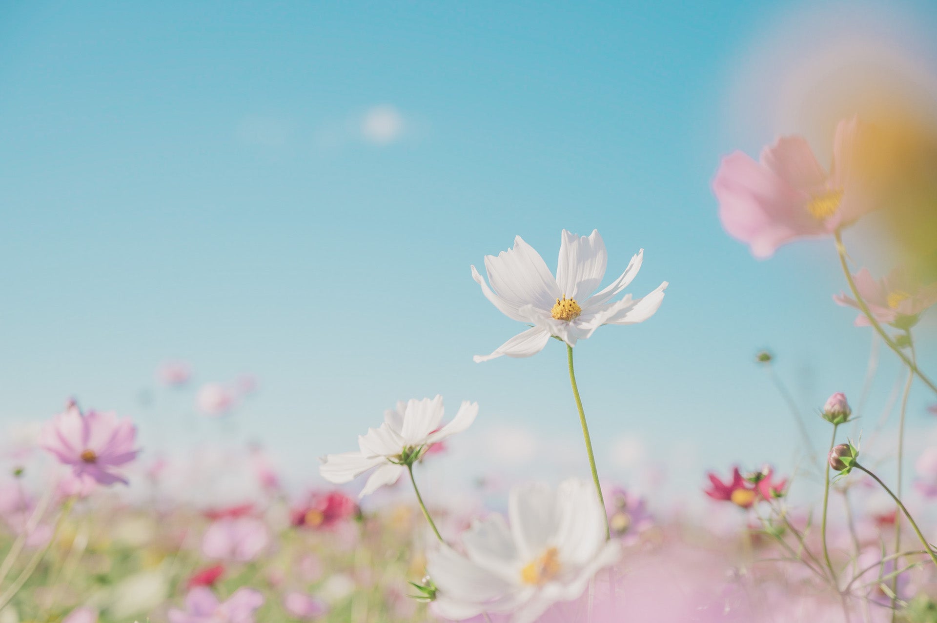 「この写真きれい」って言われたい！いつもの写真が格段にレベルアップする「レタッチ」とは？【CURBON写真用語辞典 #02