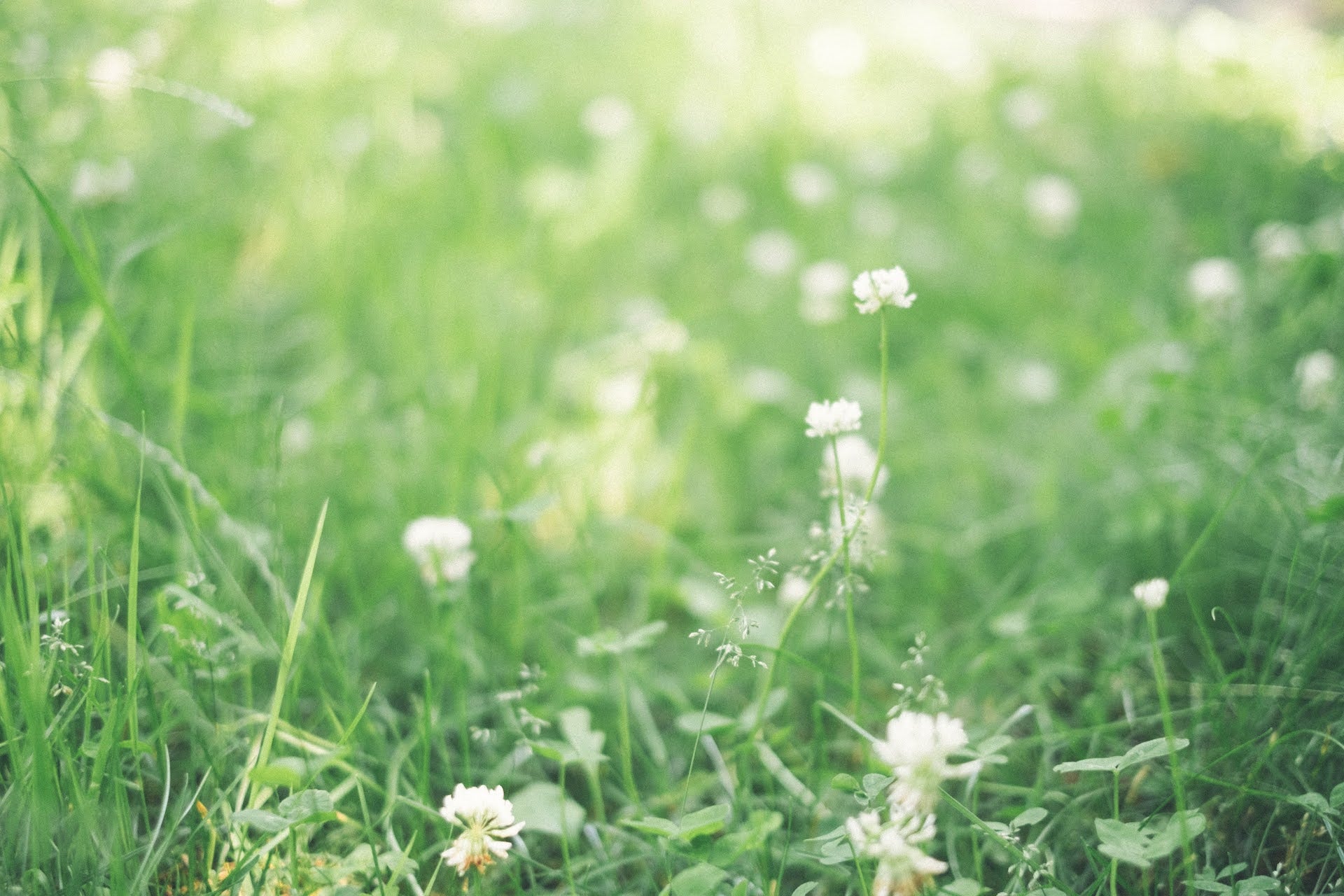 写真を学ぶ第一歩。露出って何？F値とシャッタースピード、ISO感度の関係性を理解してイメージ通りの写真に近づけよう！【CURBON写真用語辞