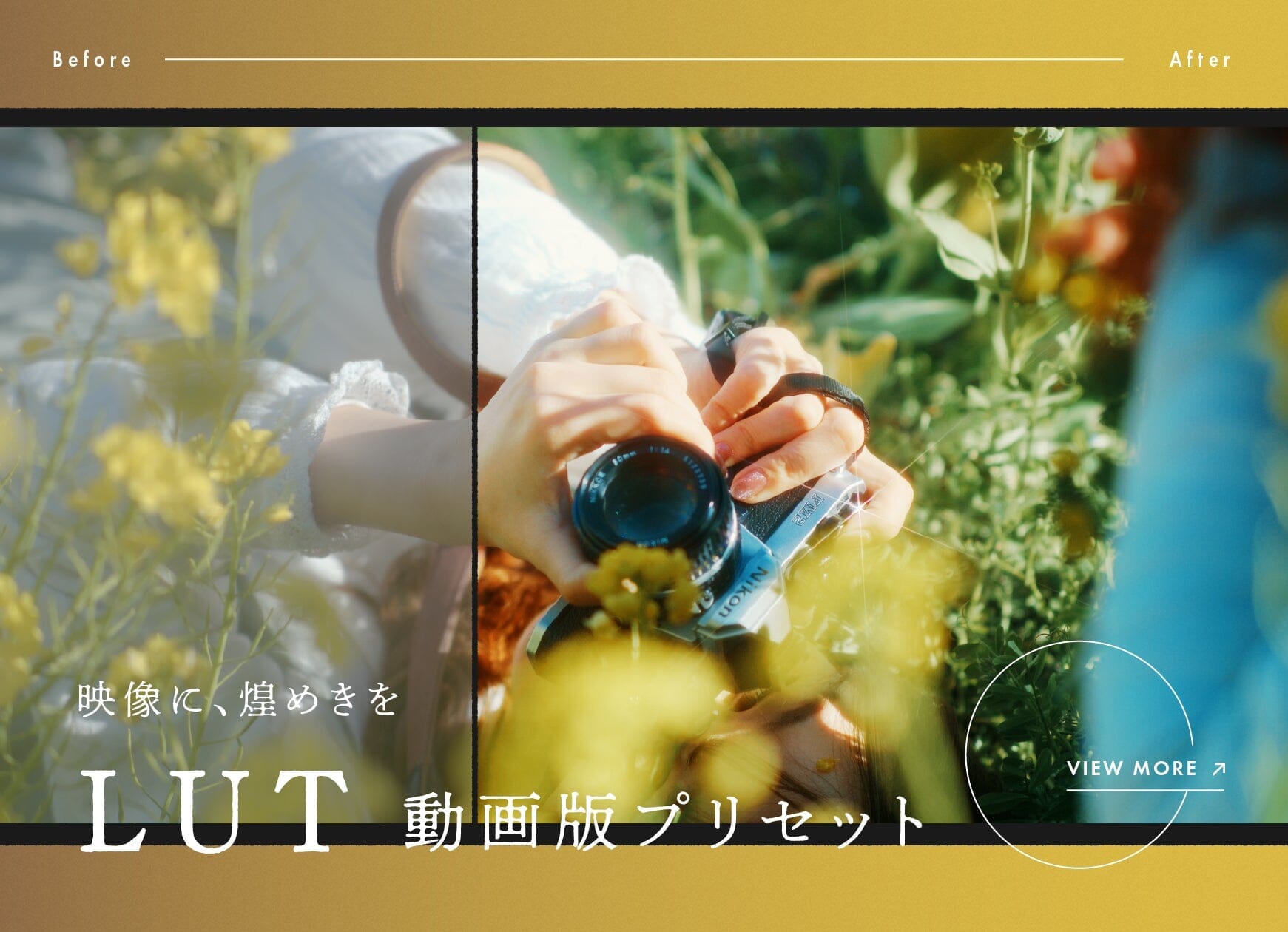 LUT CURBON Collection