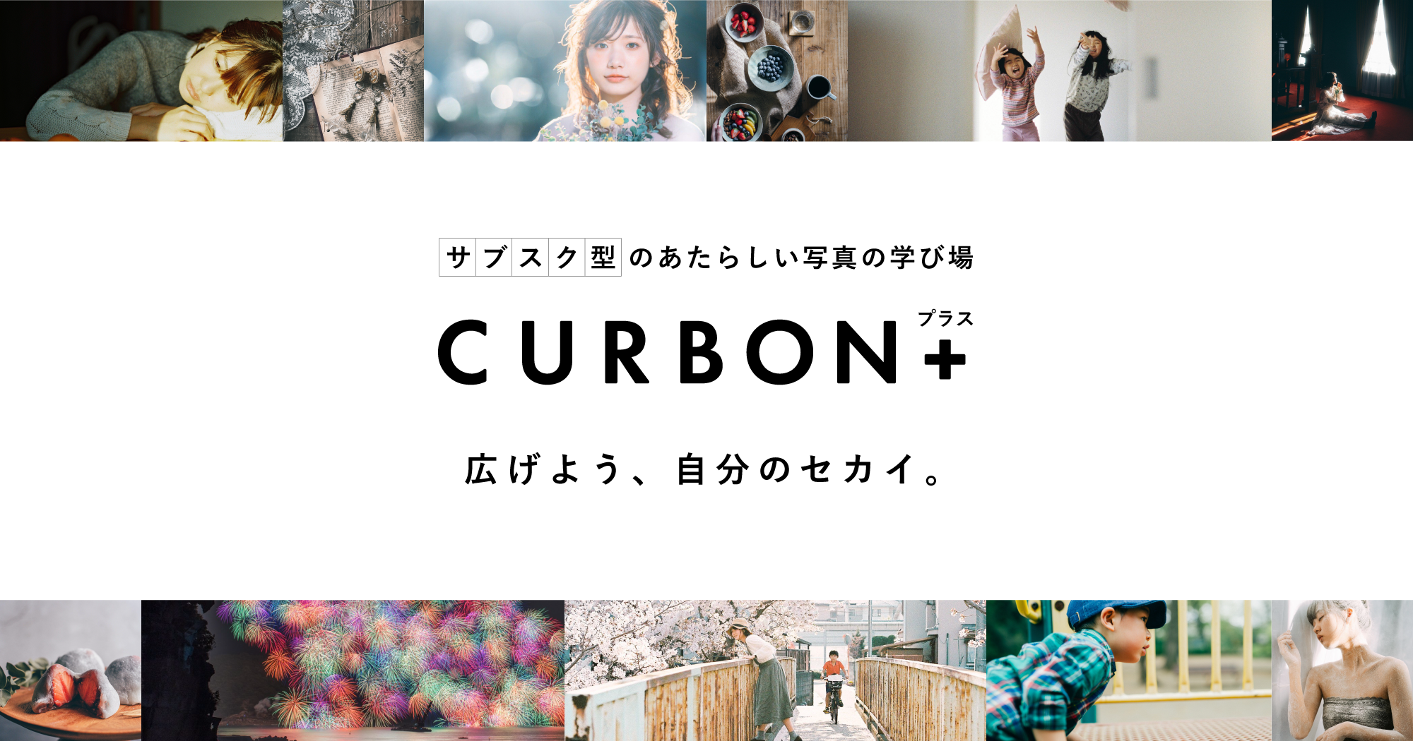 LUT シカとクマ / 鹿熊生活「暮らしの彩」 – CURBON