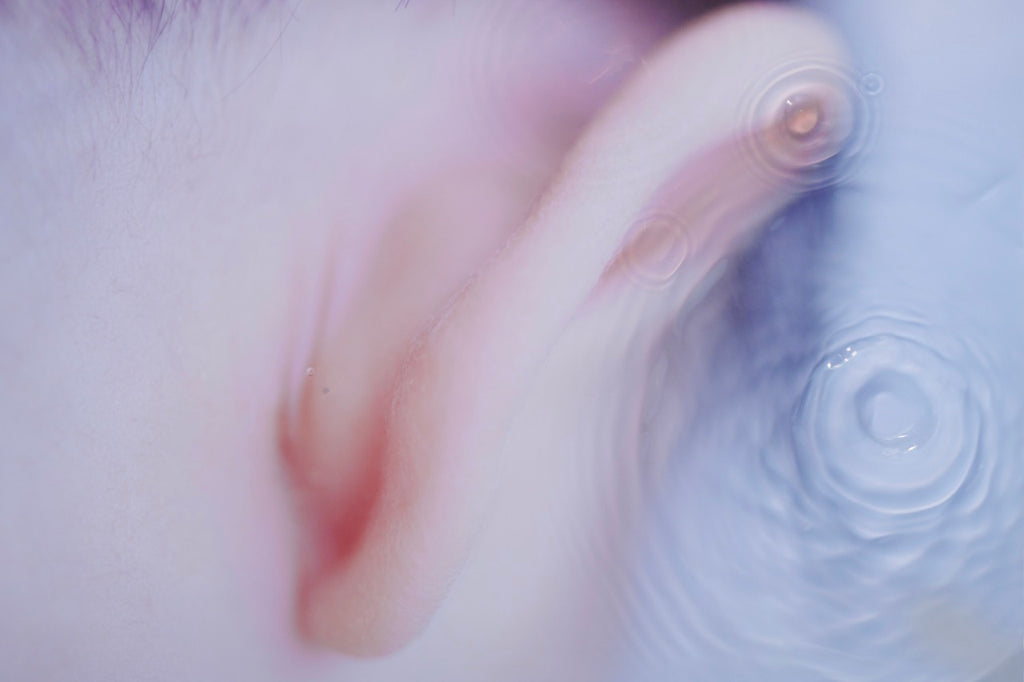 オンライン写真展 北村圭介「ゆれる」digest – CURBON