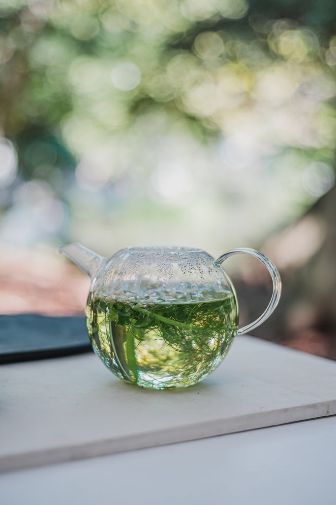 中野晴代「scene」digest – CURBON