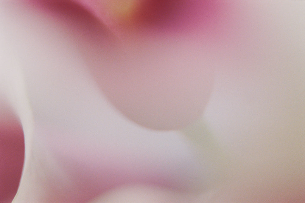 北岡稔章「等しく、美しい」digest – CURBON