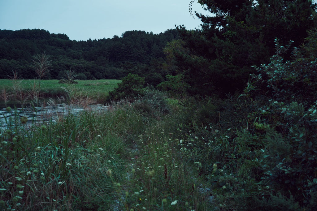 オンライン写真展 吉森慎之介「The Embers」digest – CURBON