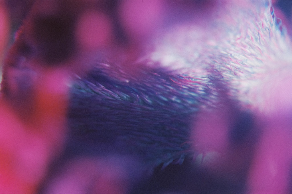 北岡稔章「等しく、美しい」digest – CURBON