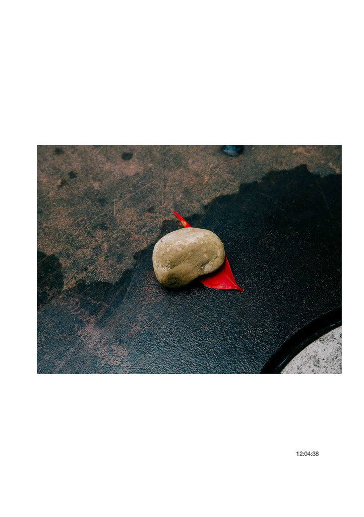 金本凜太朗「5hourstokyo」写真集digest – CURBON